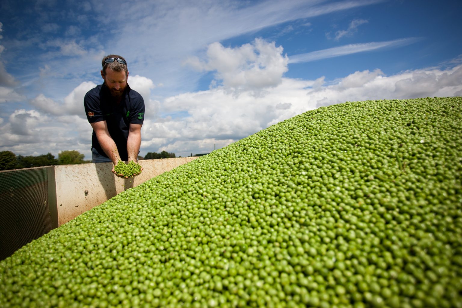 Peas in Blankets - Yes Peas!